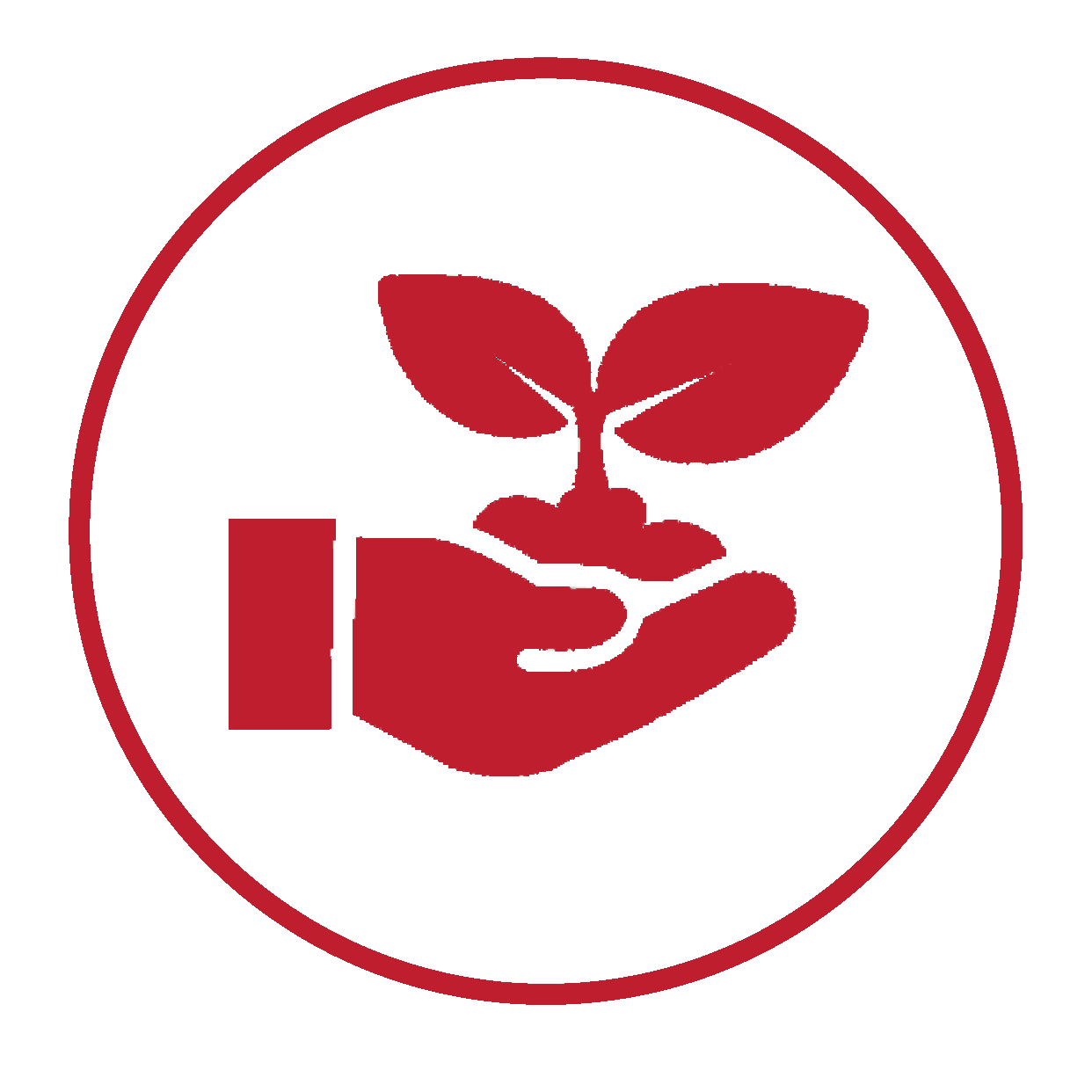 RapidSORT | Integrated Packaging Solutions